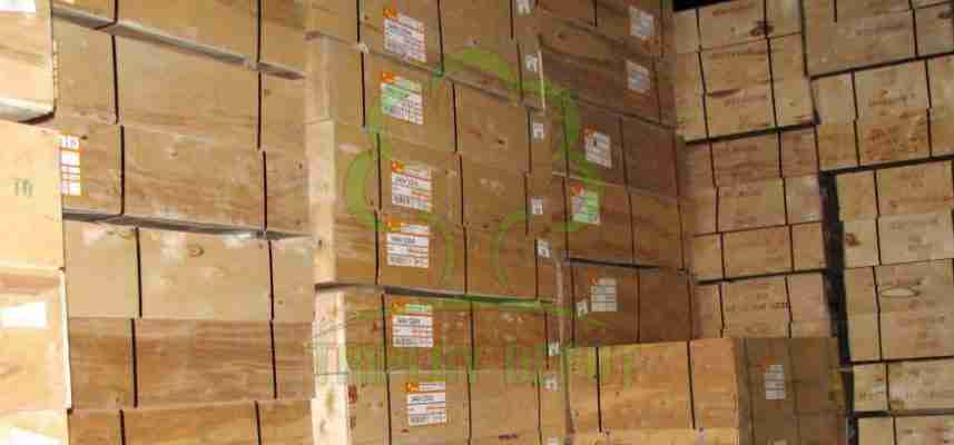 Madera triplay soluciones para cimbra y construccion